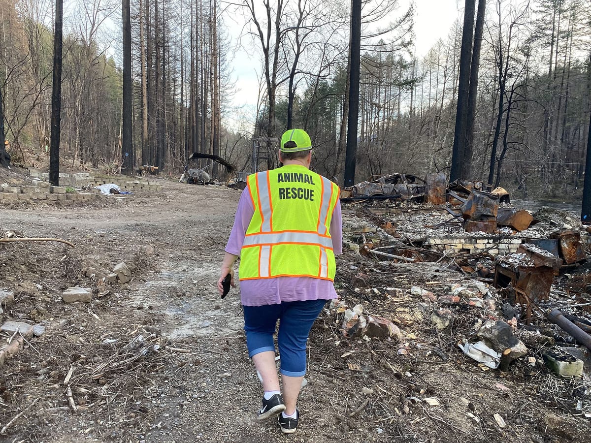 Animal Rescue is More Than a Hobby for Toni Ray – It’s a Way of Life ...